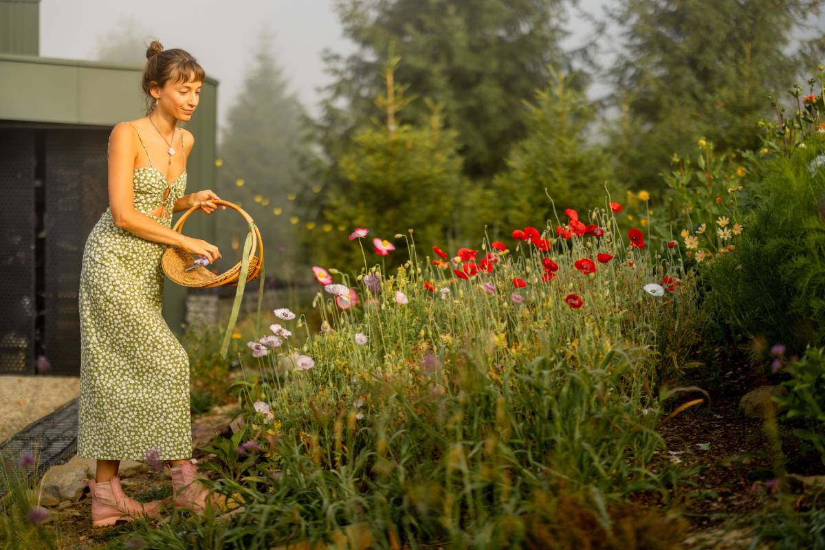 What is a Wild Garden? How Does it Help Wildlife?